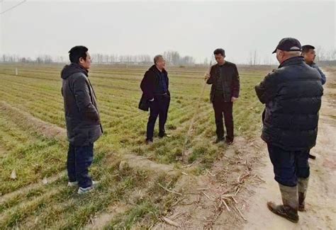 智科农服基层农技人员深入田间一线为农户提供保姆式服务 山东种业集团有限公司