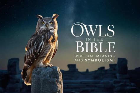 Owl Symbolism What An Owl Knows The New Science Of The Worlds Most