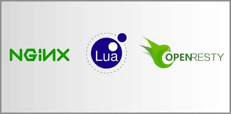 5 Exemplos Práticos Com Nginx Lua E Openresty Medium