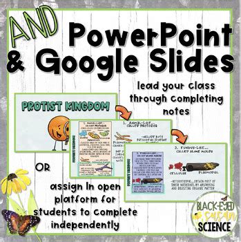 Protist Kingdom Doodle Notes Quizzes PDF And GF PowerPoint Google Slides