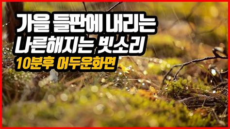 가을 들판에 내리는 잠이 솔솔오는 빗소리ㅣ깊은 수면을 위한 빗소리ㅣ이명 이석증 불면증 완화ㅣ10분후 검은 화면ㅣ빗소리 Asmr