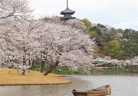 요코하마 산케이엔 정원 입장권 와그 Waug