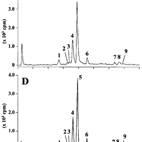 Hplc Separation Of 32 P Labeled Tamoxifen Dna Adducts A The 5 32 Download Scientific Diagram