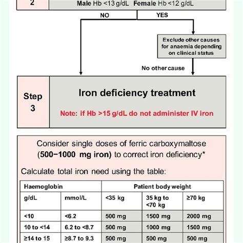 Algorithm For Screeningdiagnosis And Treatment Follow Up Of Iron Download Scientific Diagram
