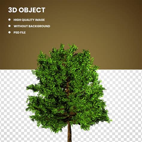 Premium Psd Green Trees