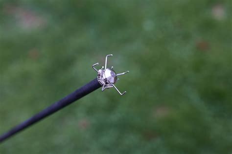 Choosing Small Game Hunting Arrow Tips Ilearntohunt
