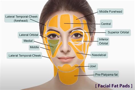 나에게는 어떤 리프팅 시술이 가장 좋을까요 소요 블로그