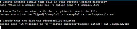 How To Mount A File In Docker Geeksforgeeks