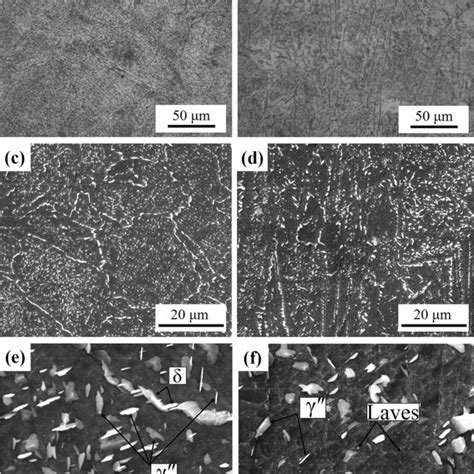 Eds Analysis Of Cross Section Microstructure Of In718 Alloy After Heat Download Scientific