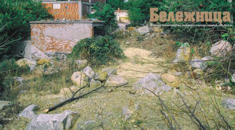 Народна библиотека Бор