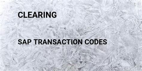 Clearing Tcode In Sap Transaction Codes List