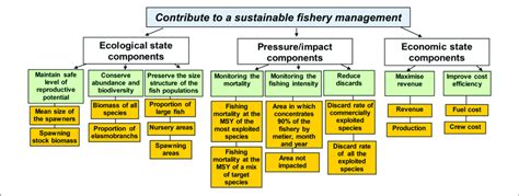 Decision Tree Of Survey 1 The Ahp Decision Tree Indicating The Download Scientific Diagram
