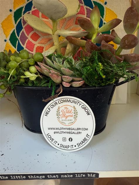 Wild Thyme Gallery Wildthymegallery • Instagram Photos And Videos