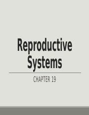 Understanding Reproductive Systems Male And Female Anatomy Course Hero