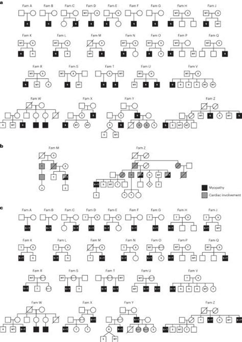 Valeria Di Leo On Linkedin Digenic Inheritance Involving A Muscle