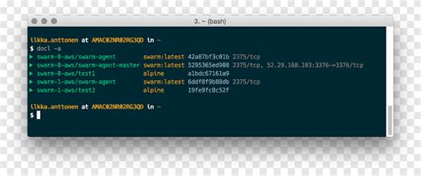 운영 체제 디스플레이 장치 터미널 Macos 설치 커서 기타 텍스트 Png Pngegg