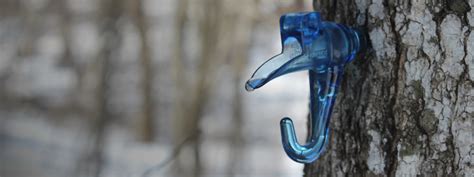 Maple Tapper Blog Learn About Maple Tapping