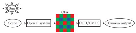Structure Of A Single Sensor Digital Camera Download Scientific Diagram