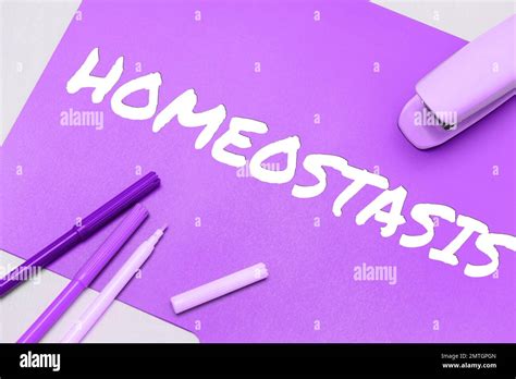 Text Showing Inspiration Homeostasis Internet Concept The Tendency Toward A Equilibrium Between