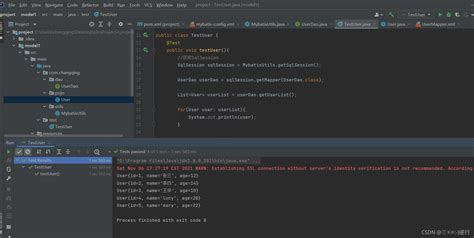 Mybatis入门教程：从零开始创建user表并实现crud操作 Csdn博客