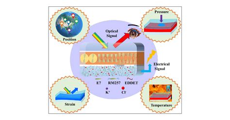 Ultrasensitive Biomimetic Skin With Multimodal And Photoelectric Dual