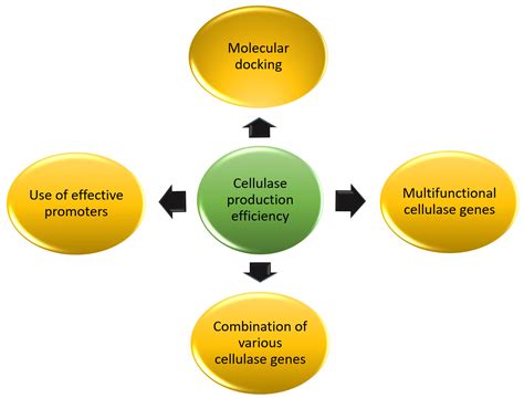 Microbial Cellulase Production Current Technologies And Future