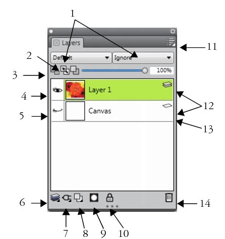 Corel Painter Help Displaying The Layers Panel