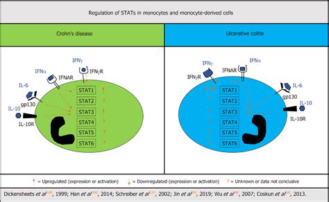 Figure 2 From Differential Regulation Of Jak Stat Signaling In Patients