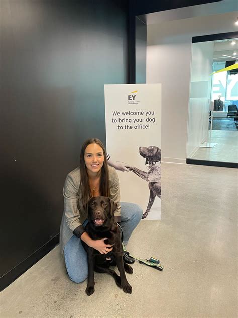 amritansh srivastava posted on linkedin