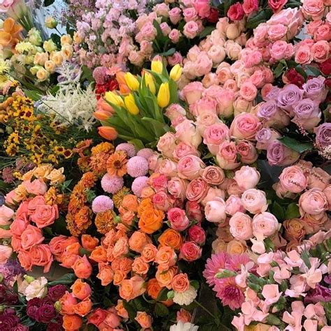 盘点那些ins鲜花背景图｜极致浪漫且高级 知乎
