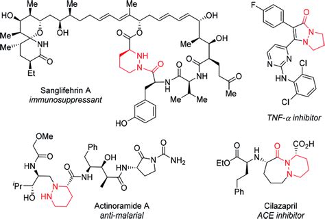 Representative Examples Of Bioactive Molecules Containing Cyclic