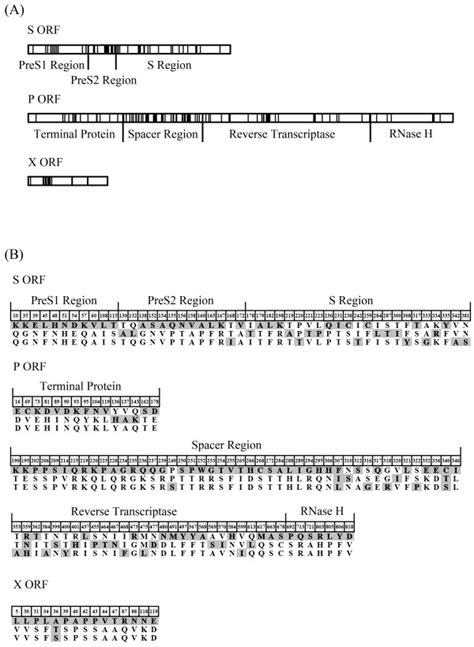 Mapping Of Genotype Dependent Positions A Locations Of Download