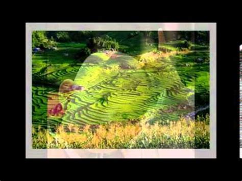 Nang Chieu Nhac Le Trong Nguyen Phuong Viet 2 Youtube