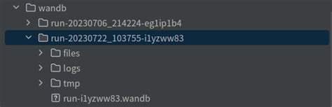 Wandb Resume · Issue 21 · Uzh Rpg Rvt · Github