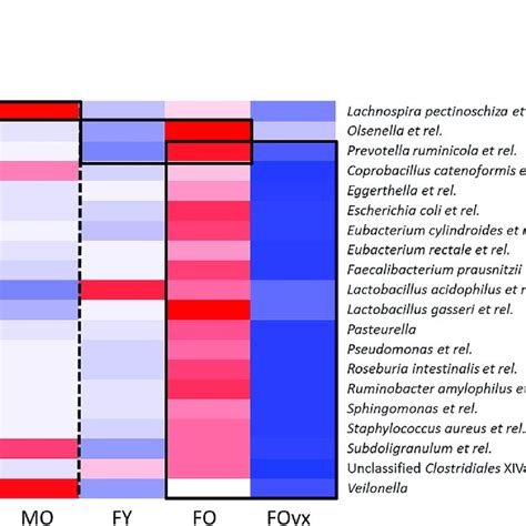 The Effect Of Age On The Abundance Of Several Bacteria Groups Is Sex