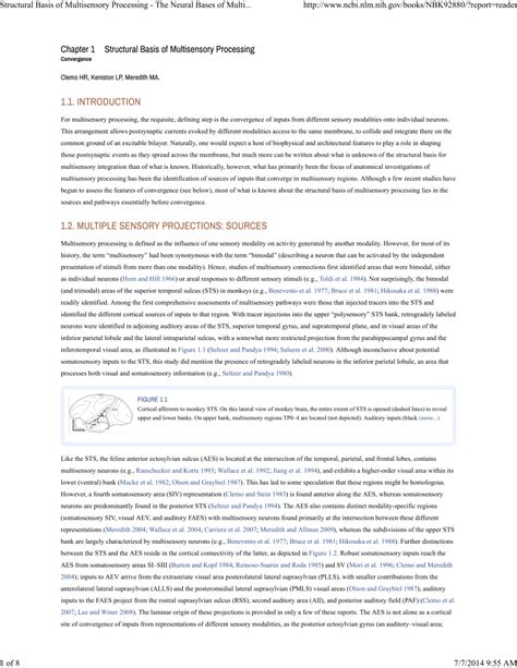 Pdf Structural Basis Of Multisensory Processing