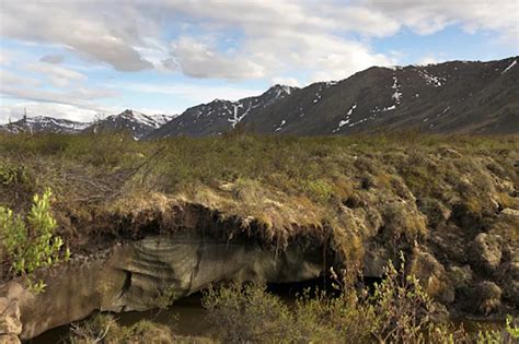 This Northern Yukon Island Shows How Thawing Permafrost Is Transforming