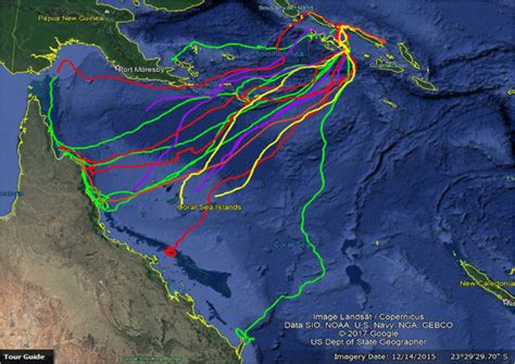 Post Nesting Migrations Of 18 Female Hawksbill Turtles That Were Tagged