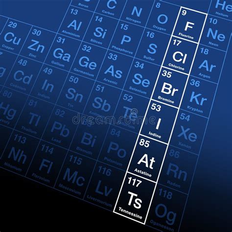 The Halogens A Group Of Chemically Related Elements In The Periodic Table Stock Vector