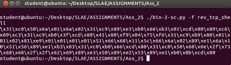 Slae Custom Tcp Reverse Shell Kymblog