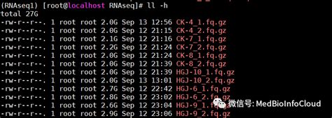 Bulk RNAseq上游分析 生物信息云