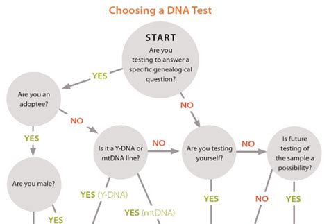 Common Questions About DNA Tests And Their Answers DNA Testing