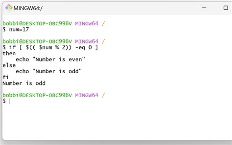 Bash How To Check If Number Is Even Or Odd Collecting Wisdom
