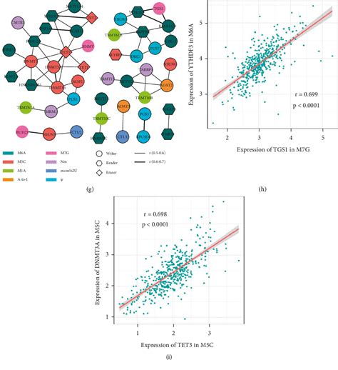 Figure 2 From Crosstalk Of Eight Types Of Rna Modification Regulators Defines Tumor