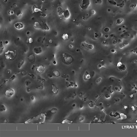 Surface Morphology Of Peo Coatings Formed In Phosphate Based