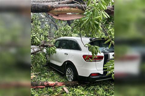 Traffic Snarl Up On Highways And Roads Due To Accidents Including Tree Falling On Car The