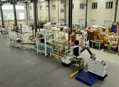 Collaborative Palletizing Robot With Arm Pick And Place Palletizing System For Finished Products