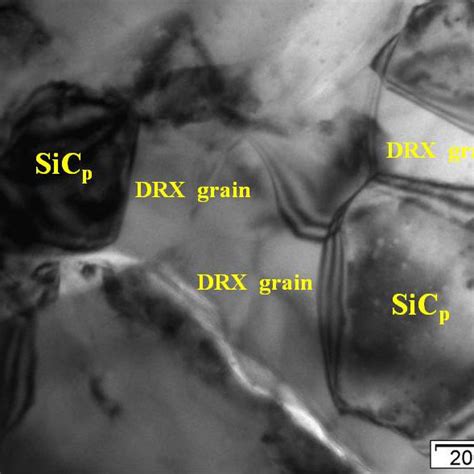 Processing Maps Of The Dual Scale Sicp A356 Composites At The Strain Of Download Scientific