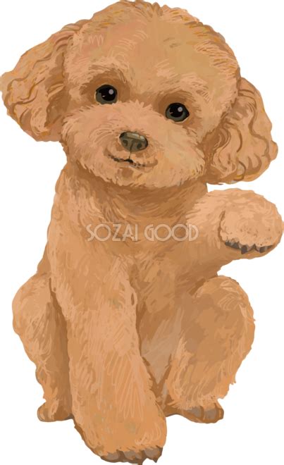 Zolmovies 正面 柴犬 イラスト リアル