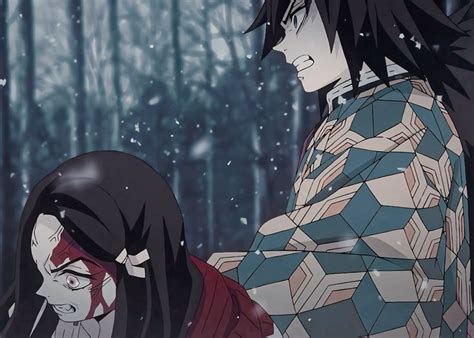 Giyu And Nezuko Slayer Demon Anime